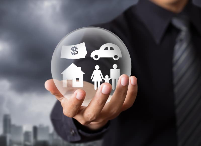 Servicios - Catnova Store